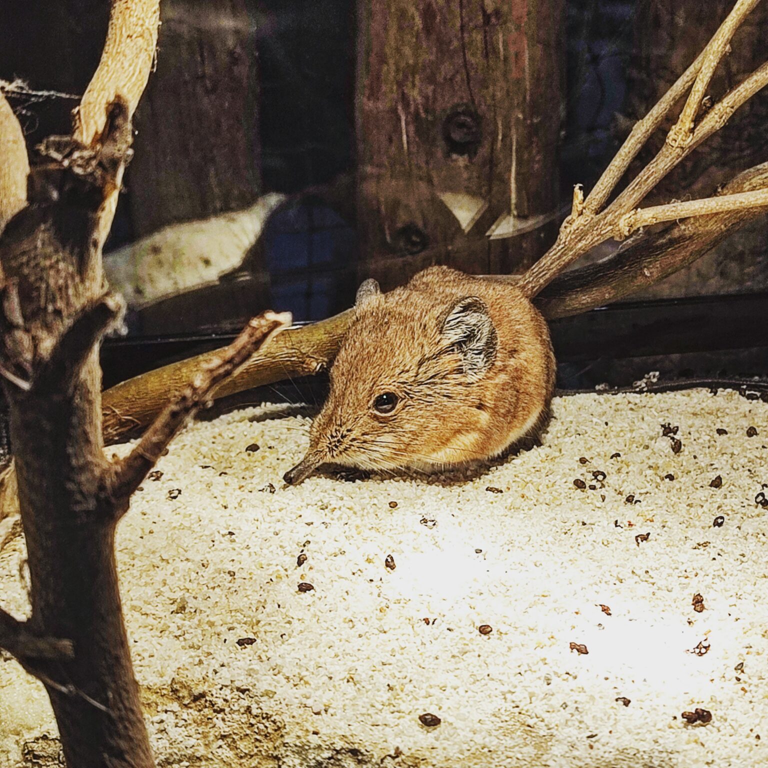 Novi rekordi Tropske hiše in rojstva letošnjega leta – Tropska hisa