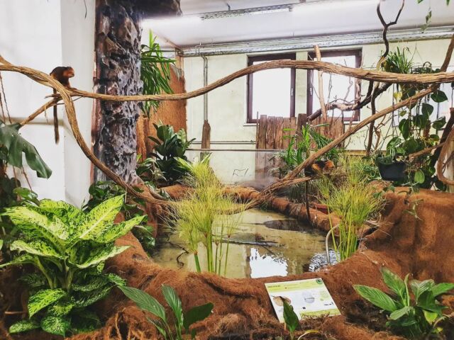 Kako do nas? – Tropska hisa